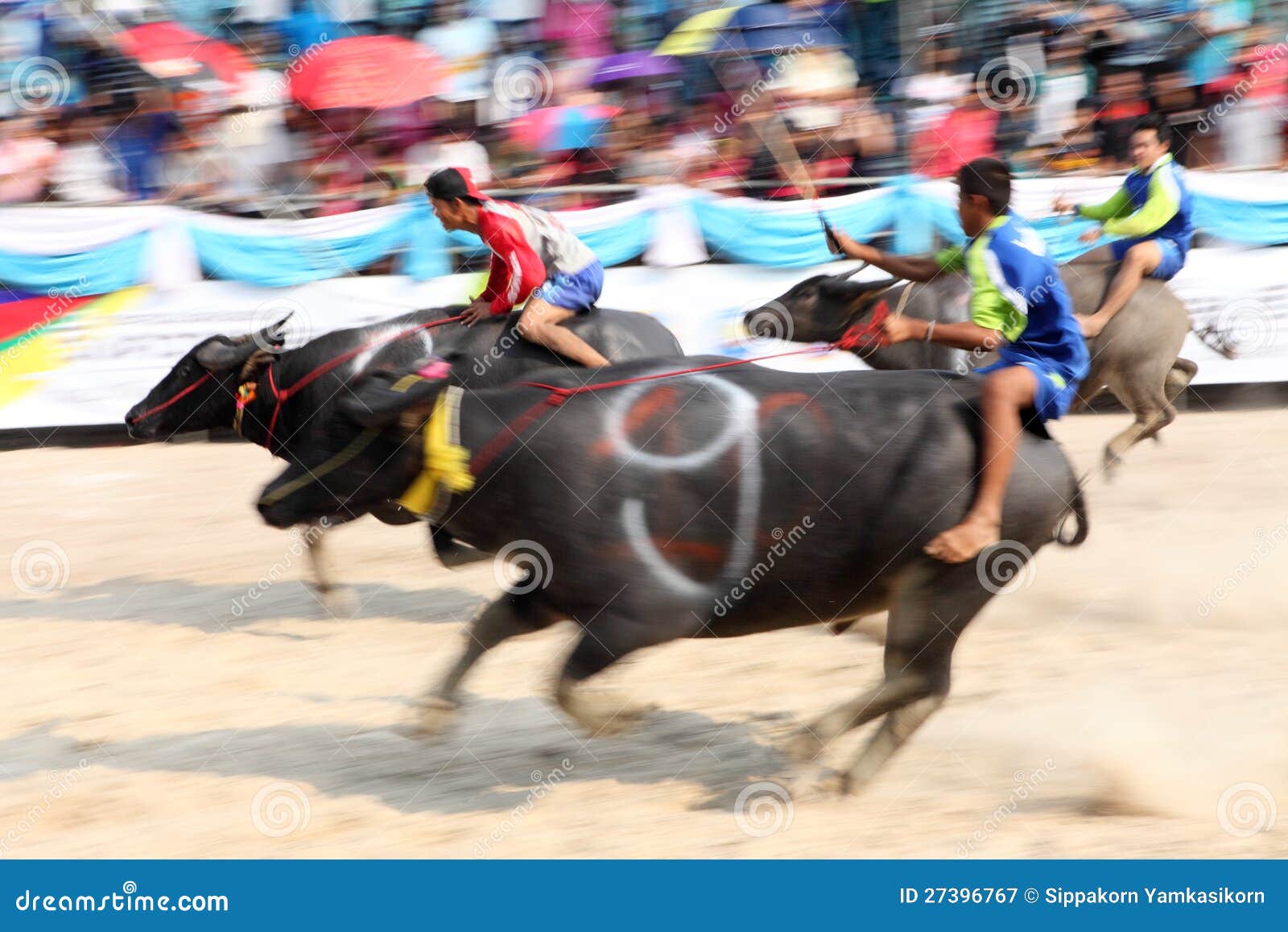 Buffalo race editorial photography. Image of event, mammal - 27396767