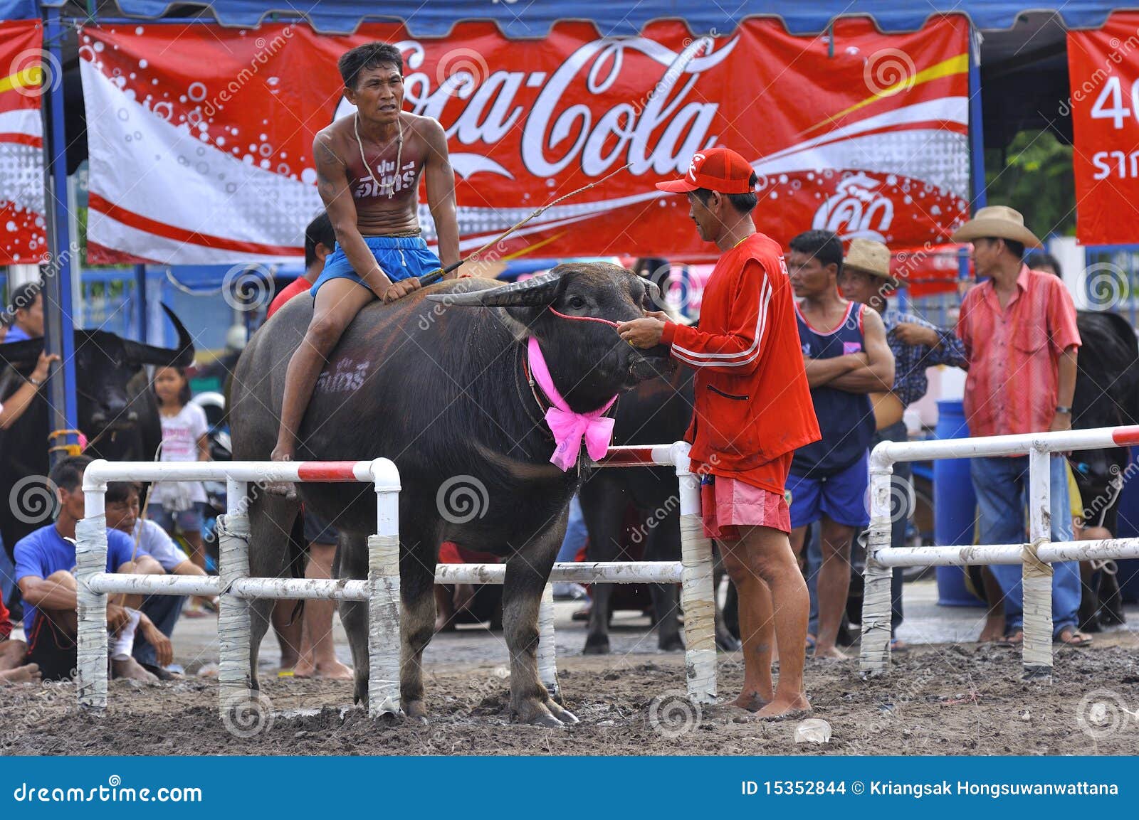 Buffalo Racing editorial stock image. Image of race, athlete - 15352844