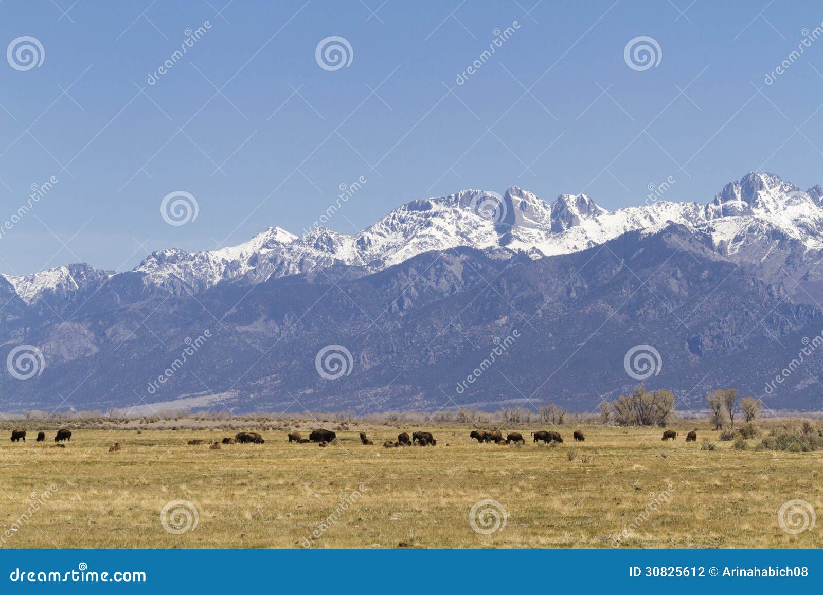 Buffalo ranch stock photo. Image of peaks, large, nature - 30825612
