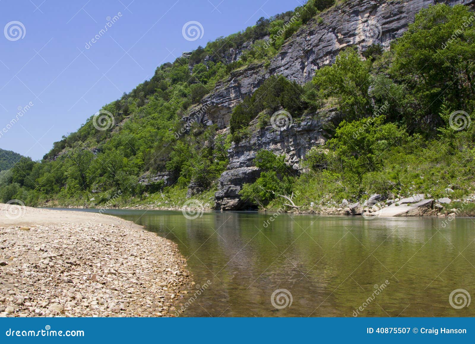 Two Buffalo In The River. Buffalo Kerbau, Also Called Water Buffalo ...