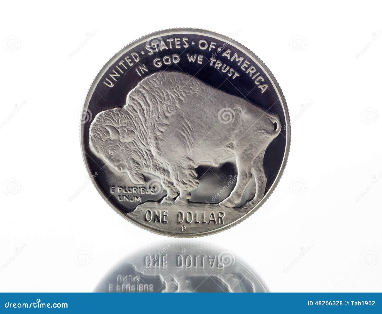 Buffalo Silver Dollar with Reflection on White Stock Photo - Image of ...