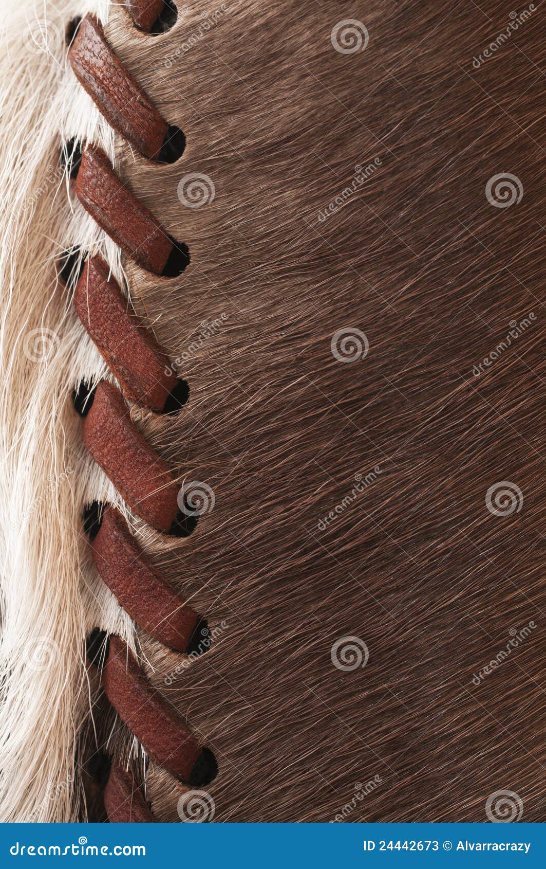 795 Buffalo Skin Background Photos - Free & Royalty-Free Stock Photos ...