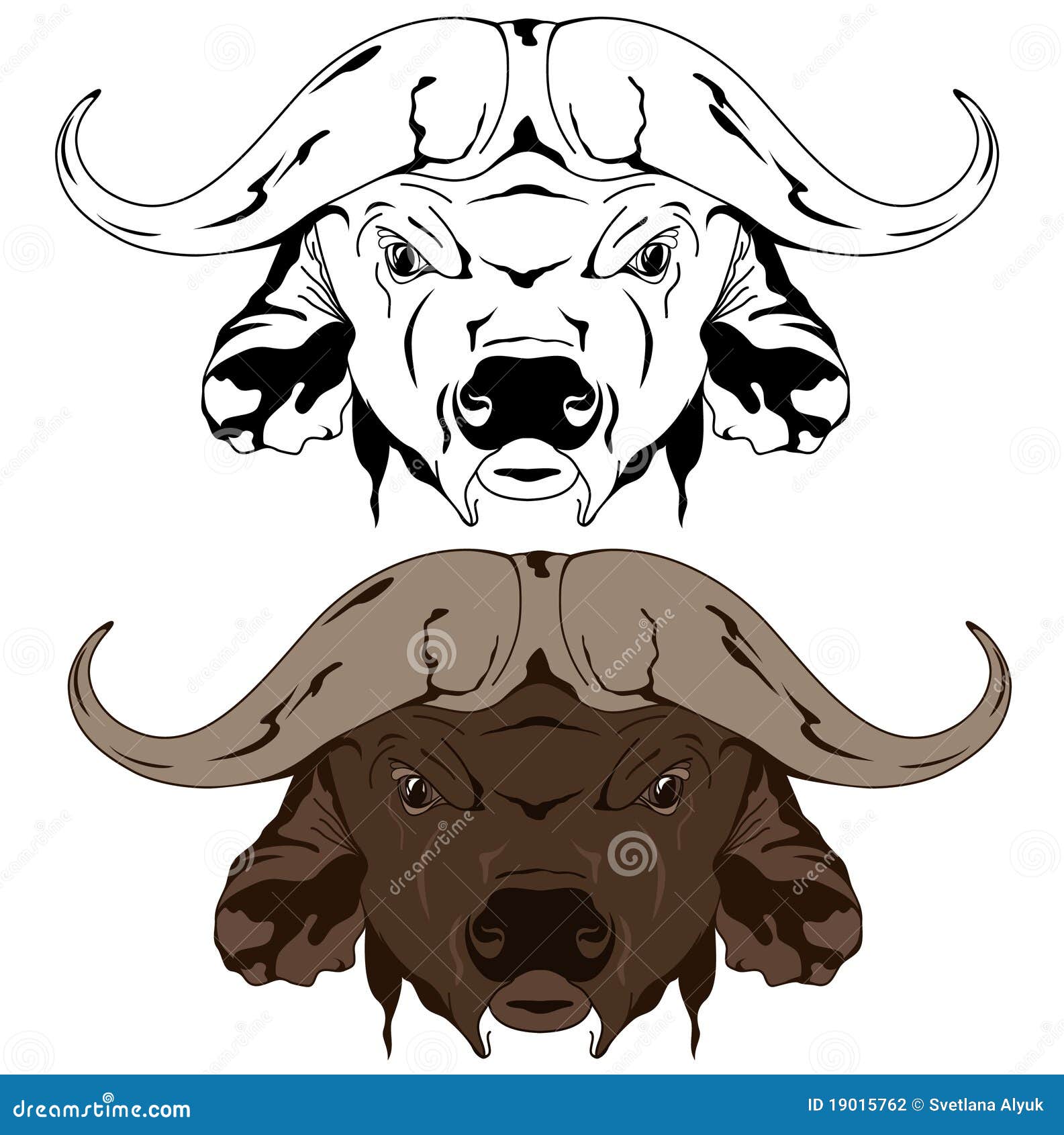Buffalo vector stock vector. Illustration of vector, animals - 19015762