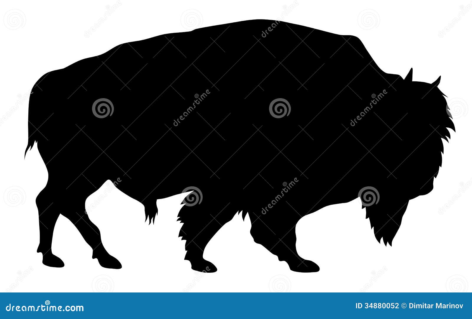 Buffalo stock illustration. Illustration of animal, herbivorous - 34880052
