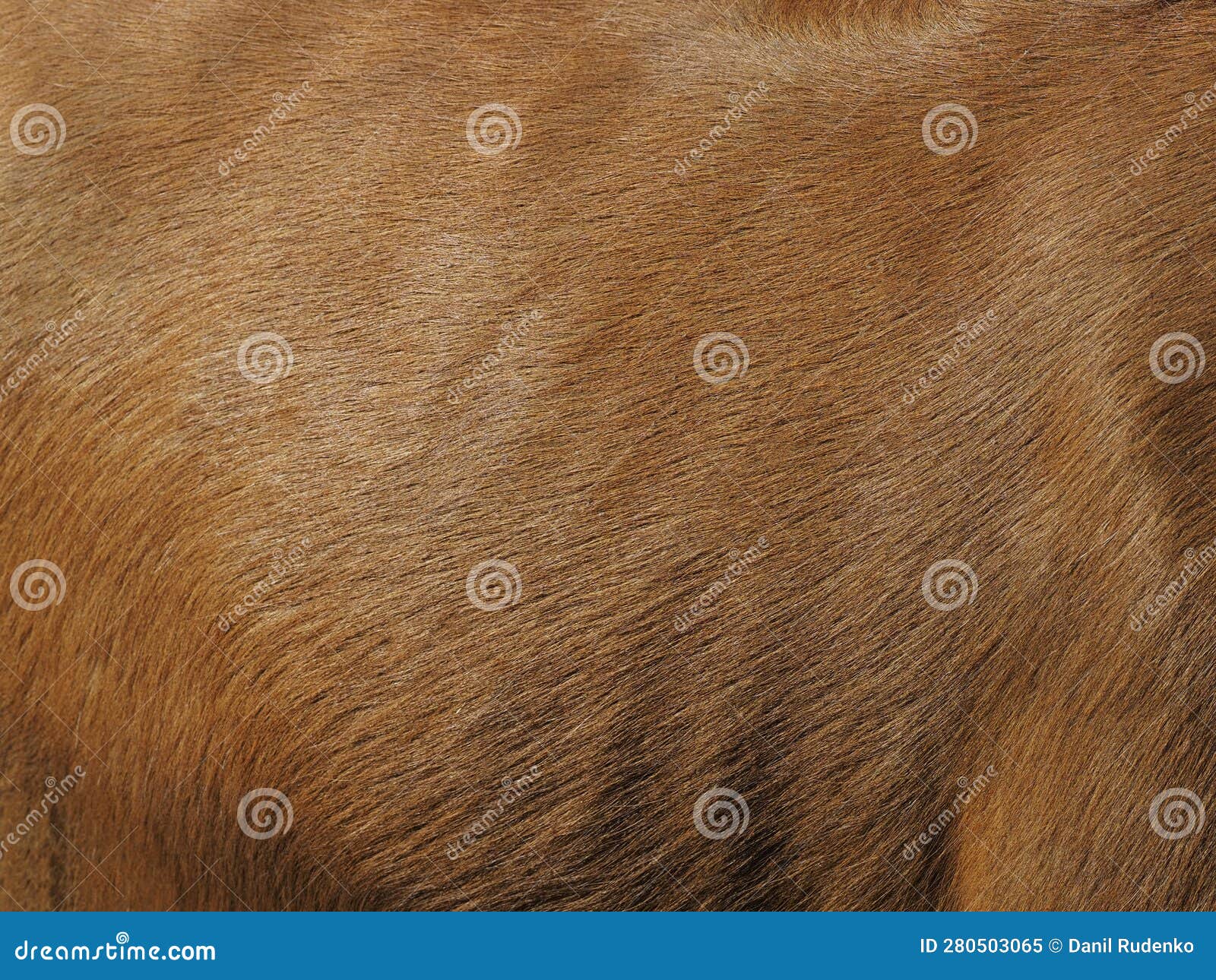 Buffalo wool texture stock image. Image of wool, abstract - 280503065