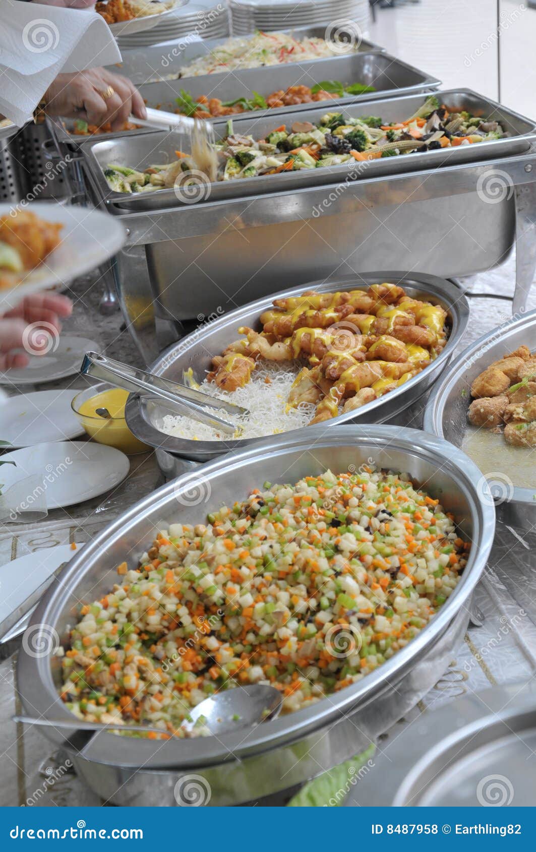 Buffet stock photo. Image of hungry, buffet, carte, vegetarian - 8487958