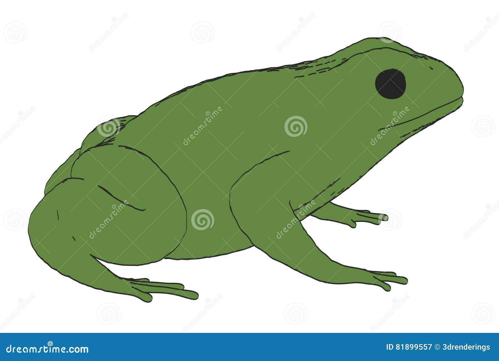 Bufotoxin Cartoons, Illustrations & Vector Stock Images - 22 Pictures ...