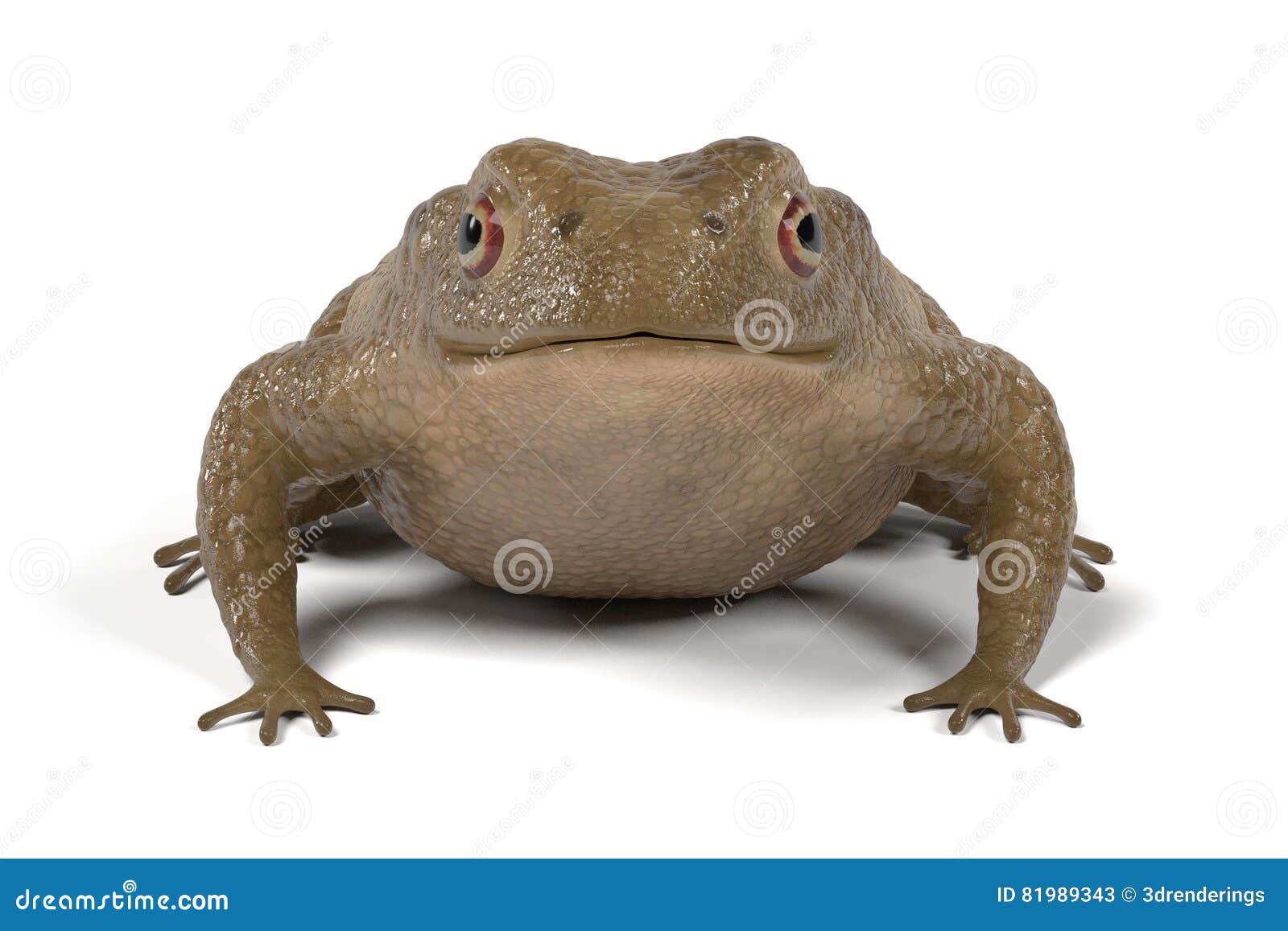 Bufo bufo stock illustration. Illustration of grass, amphibian - 81989343