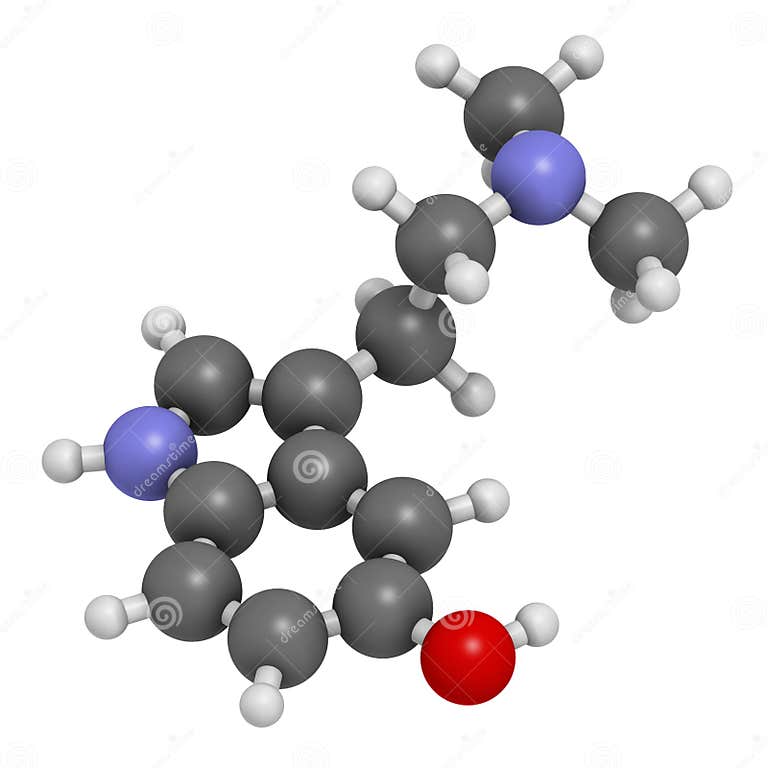 Bufotenin Molecule. Tryptamine Present in Several Psychedelic Toads. 3D ...