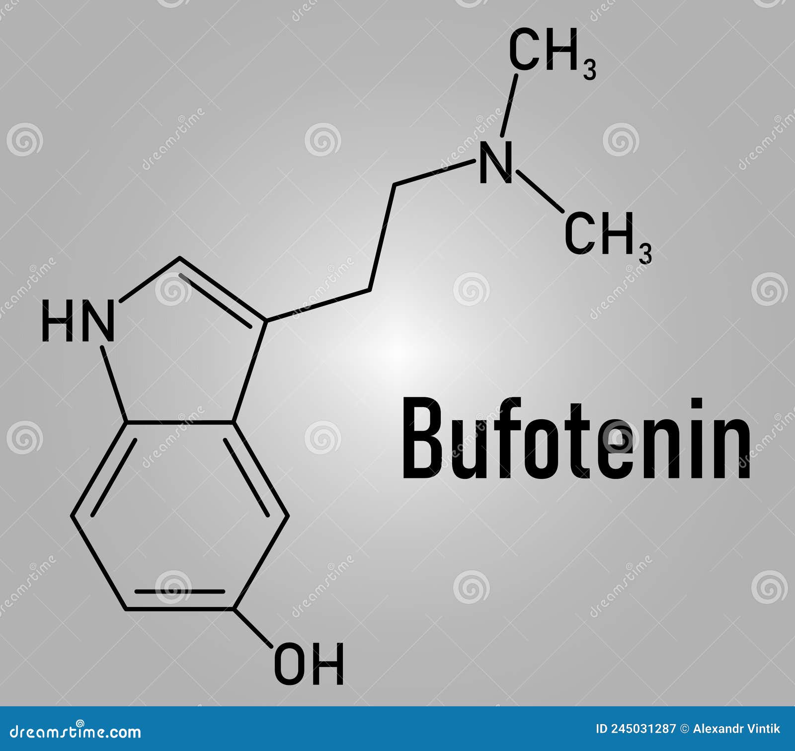 Bufotenin Molecule, Structural Chemical Formula, Ball-and-stick Model ...