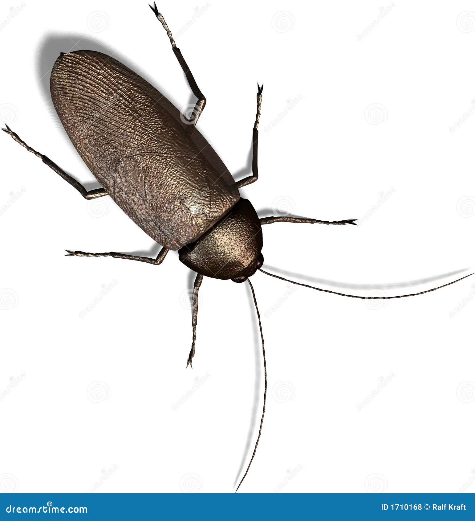 Bug from above stock illustration. Illustration of fressen - 1710168