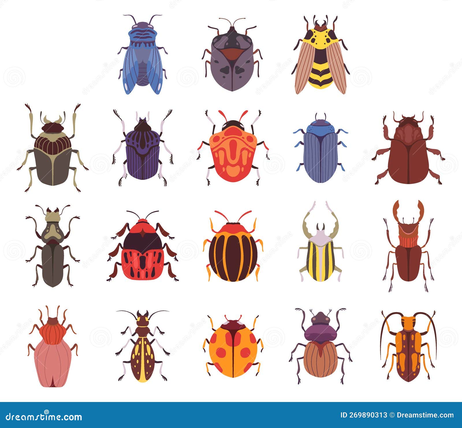 Bug and Beetle Insects Species Isolated on White Background Big Vector ...