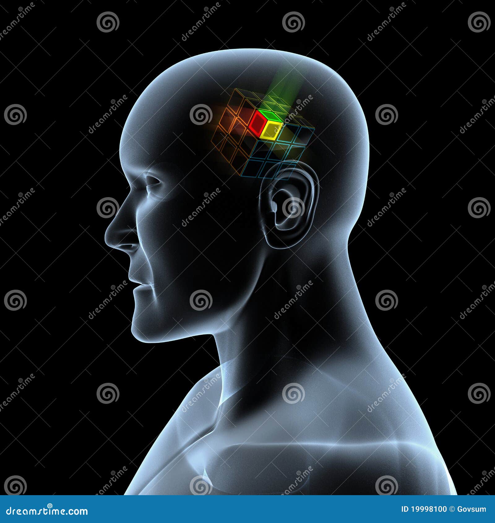 Bug in brain stock illustration. Illustration of logical - 19998100