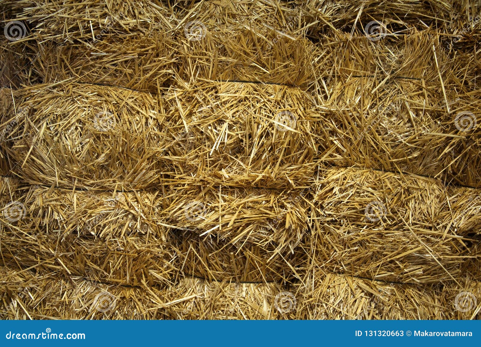 Bug Bricks of Yellow Hay, Close-up Stock Image - Image of agriculture ...