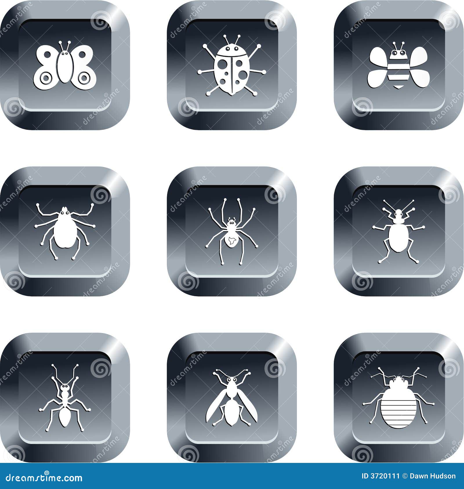 Bug buttons stock illustration. Illustration of decorative - 3720111