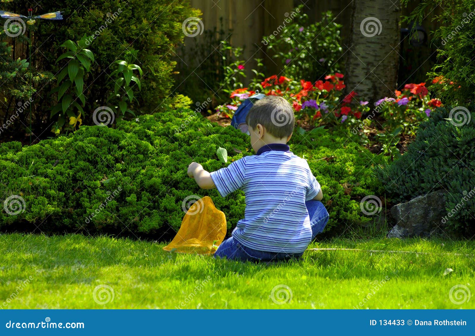 Bug Catching stock image. Image of garden, child, youth - 134433
