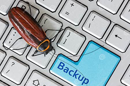 Bug on the Computer Keybord Stock Image - Image of computing, hacker ...