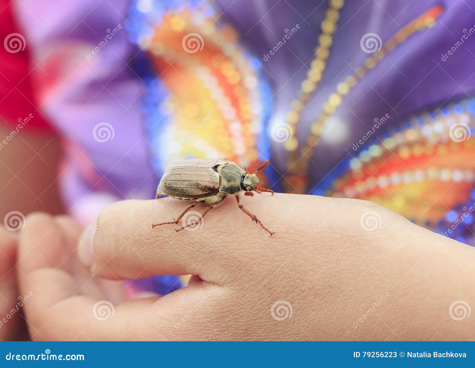Bug Crawling on the Arm of the Child Stock Image - Image of finger ...