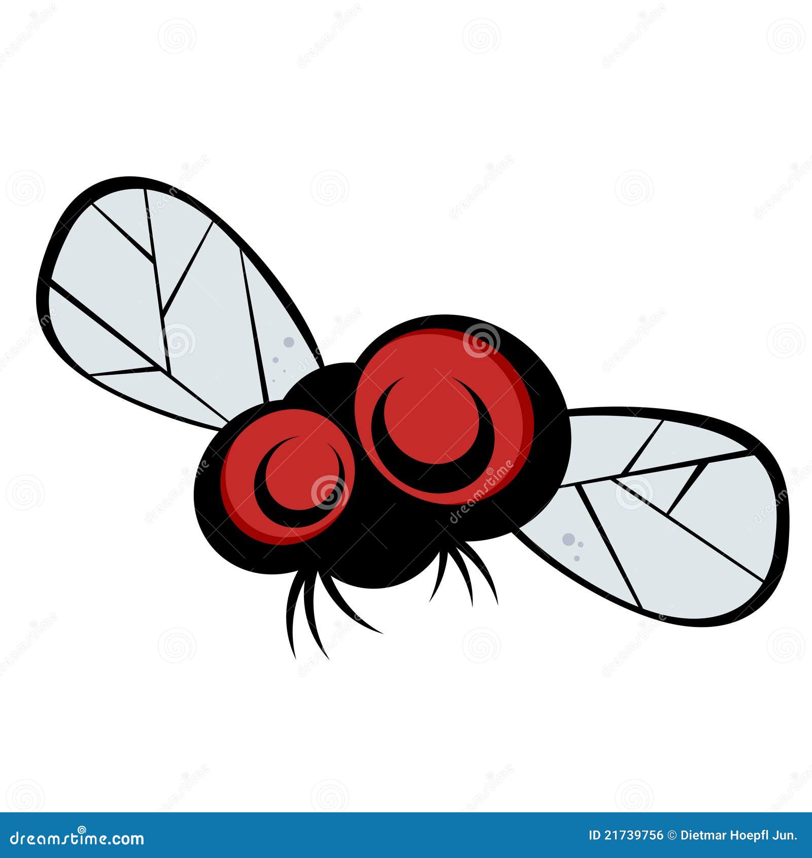 Bug-Eyed Fly Cartoon stock vector. Illustration of winged - 21739756