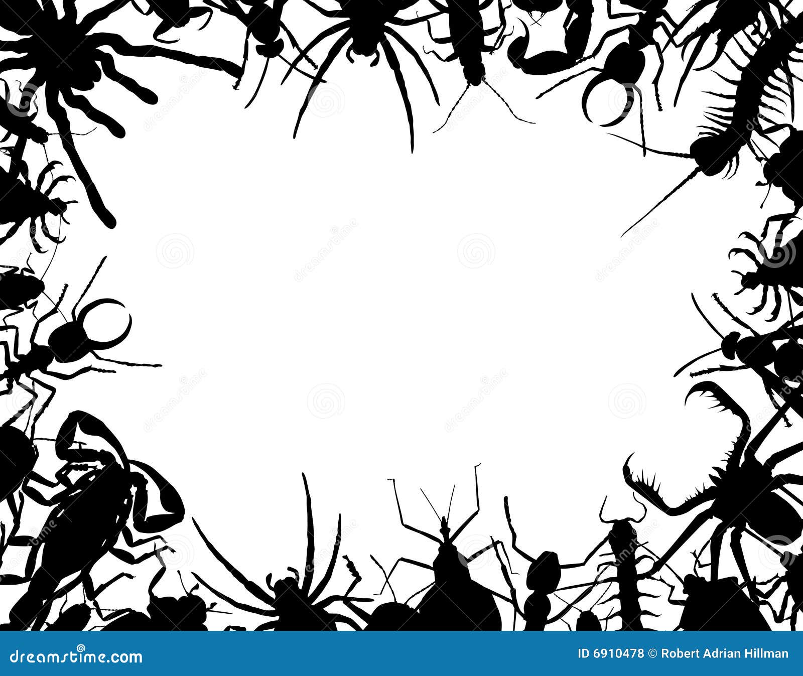 Bug frame stock vector. Illustration of graphic, cricket - 6910478