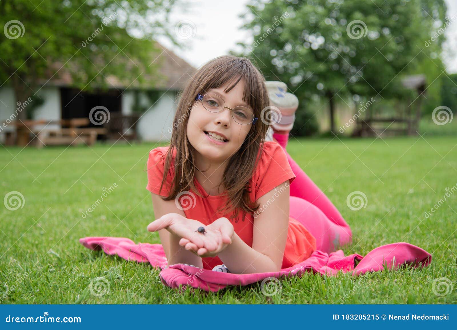 A Bug on the Hand of a Girl in Nature Stock Image - Image of hair ...