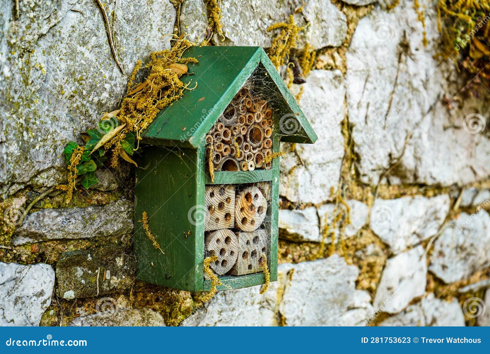 Bug Hotel Fixed on Stone Wall Stock Image - Image of wall, eall: 281753623