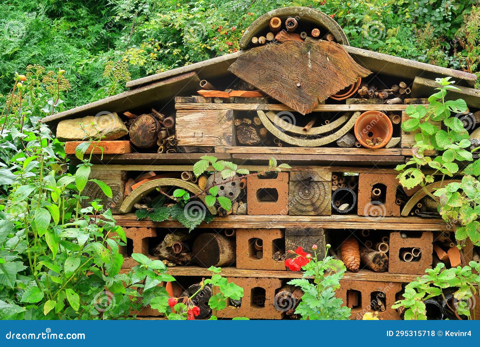 Bug House in Amongst the Woodland Stock Photo - Image of green, wood ...