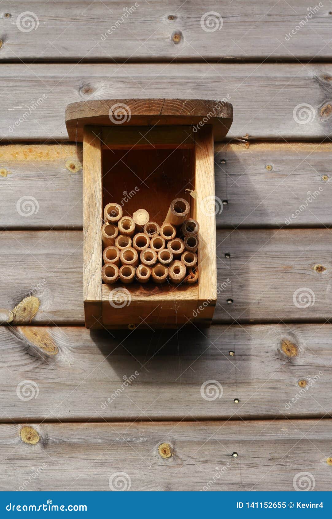 A Bug House on a Wooden Wall Stock Image - Image of wooden, insects ...