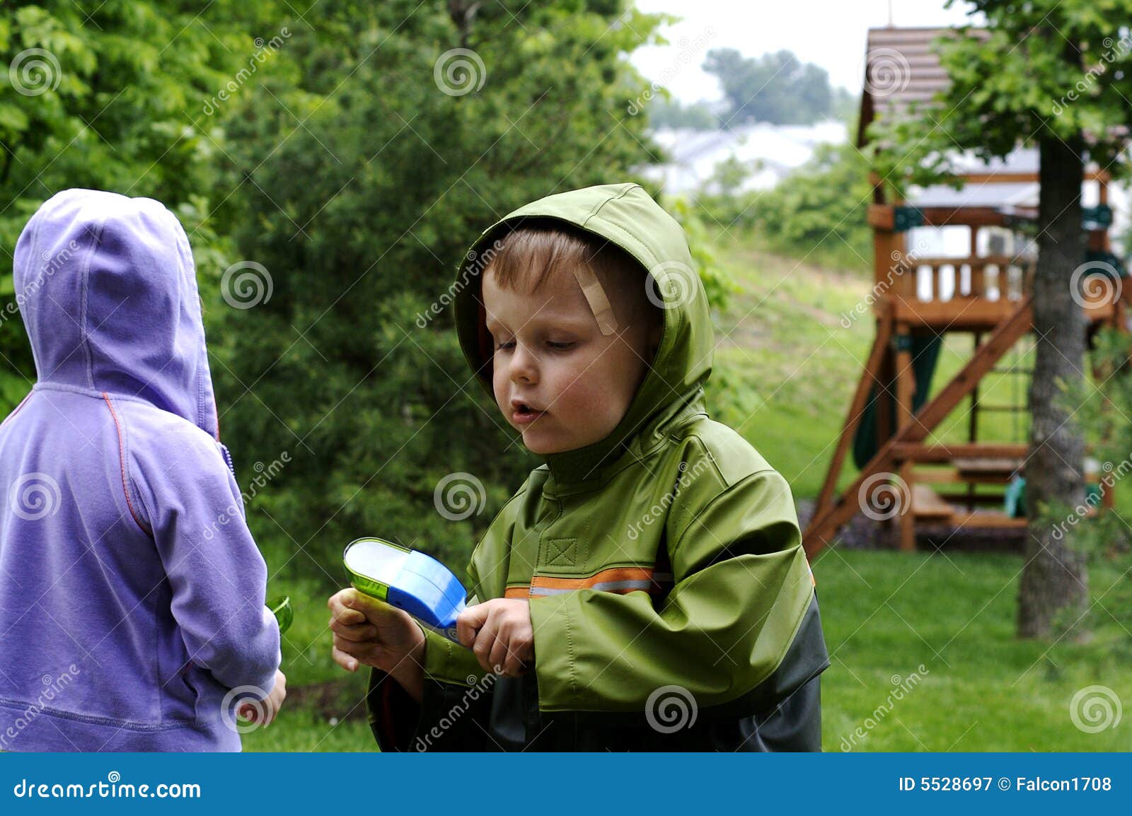 Bug Hunt stock image. Image of girl, adventure, childhood - 5528697