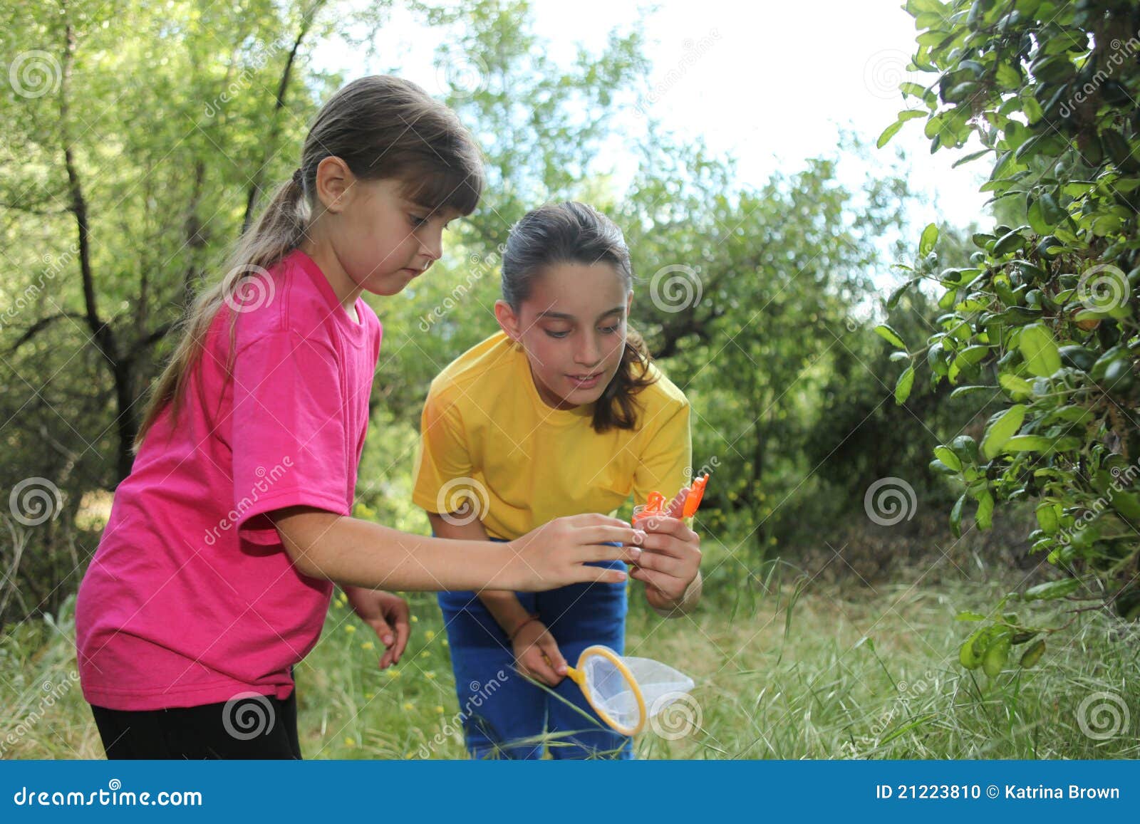 Bug Hunting in the Woods stock photo. Image of hunting - 21223810