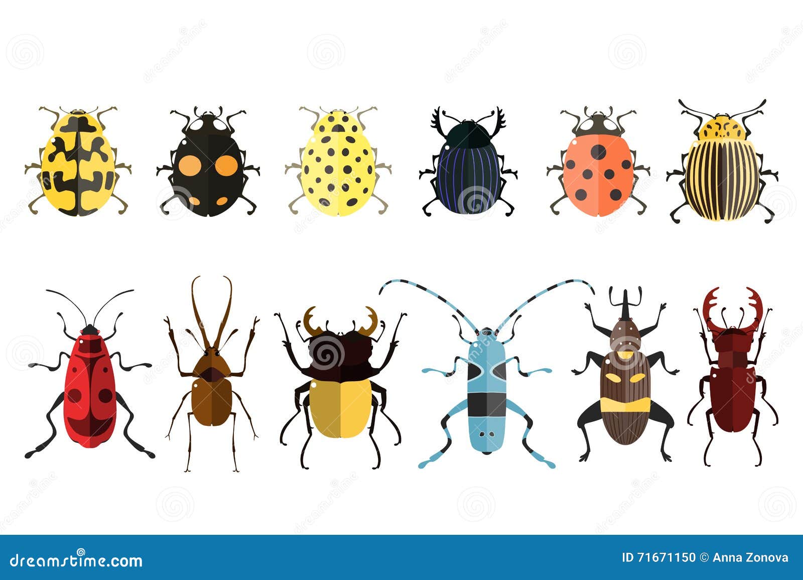 Bug icons. Insect set. stock vector. Illustration of bark - 71671150 Bug icons. Insect set. stock vector. Illustration of bark - 71671150