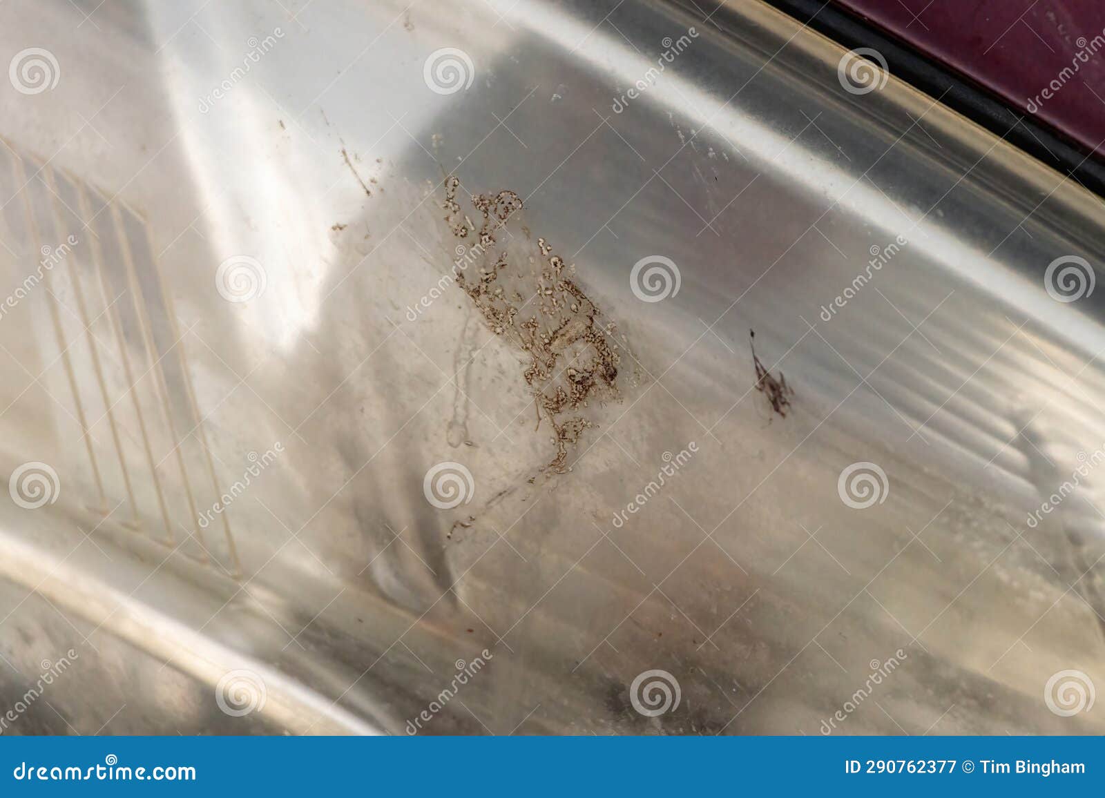 Bug Impact Splattered on Headlight Lens Stock Image - Image of lens ...