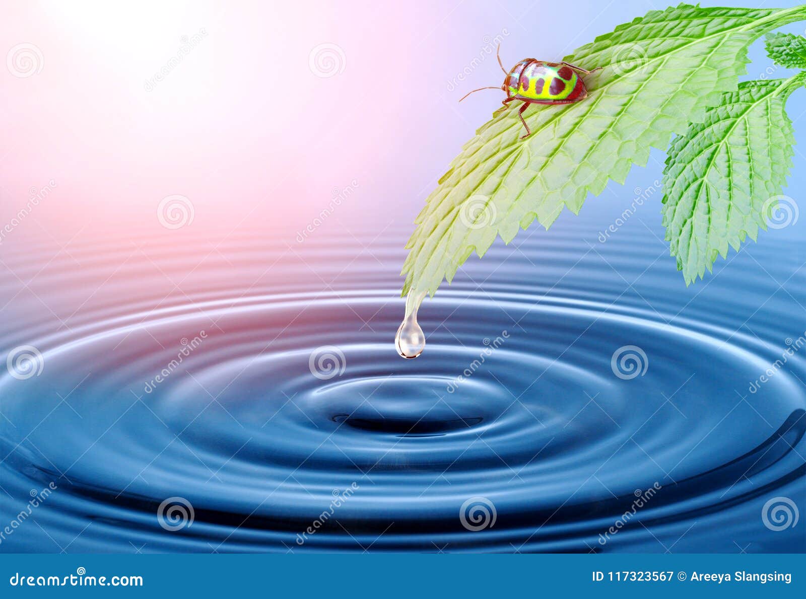 Bug Life and Fresh Water with Wave Pattern Stock Image - Image of ...