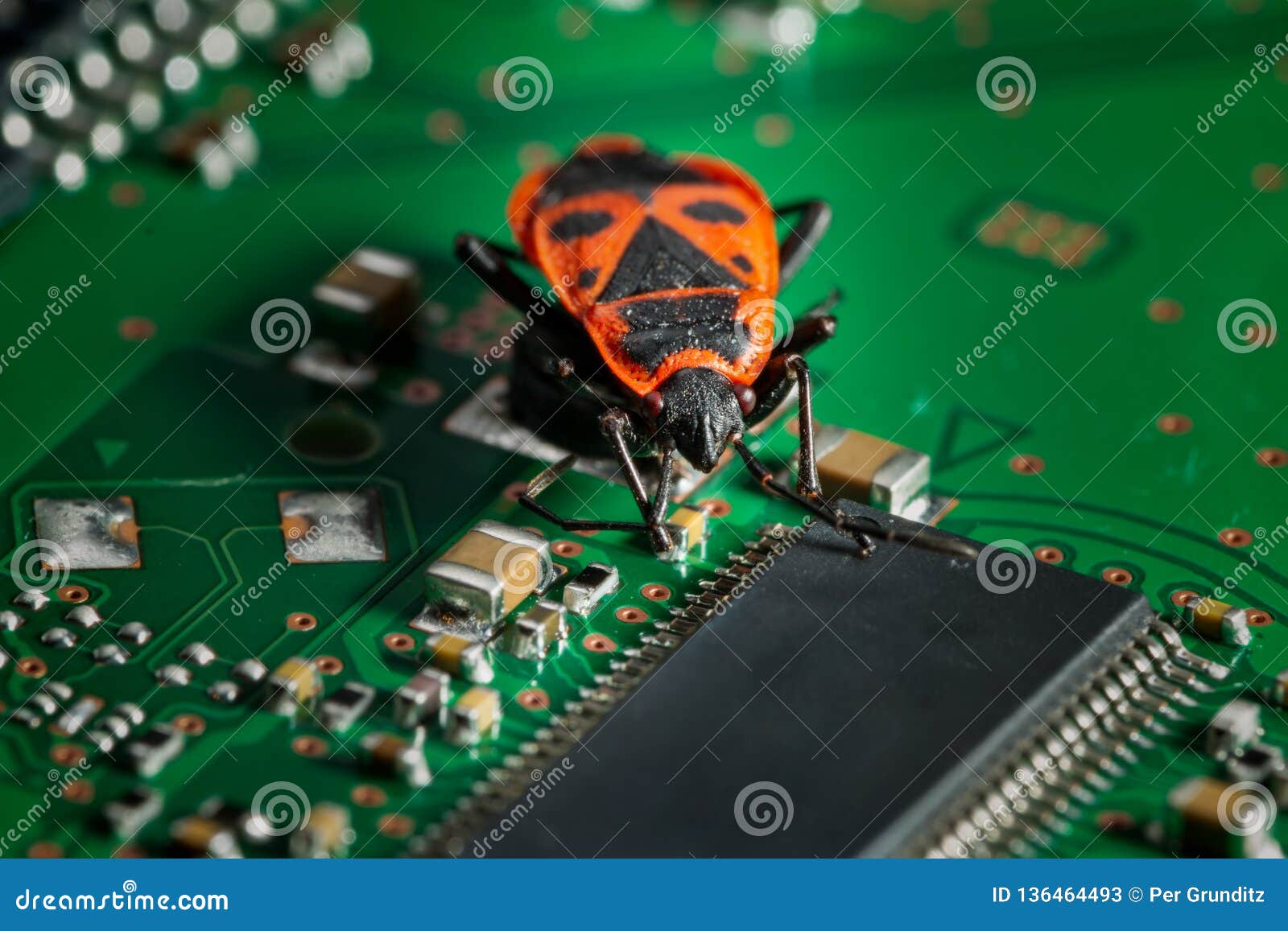 A Computer Bug Causing Trouble - on a Circuit Board Stock Image - Image ...
