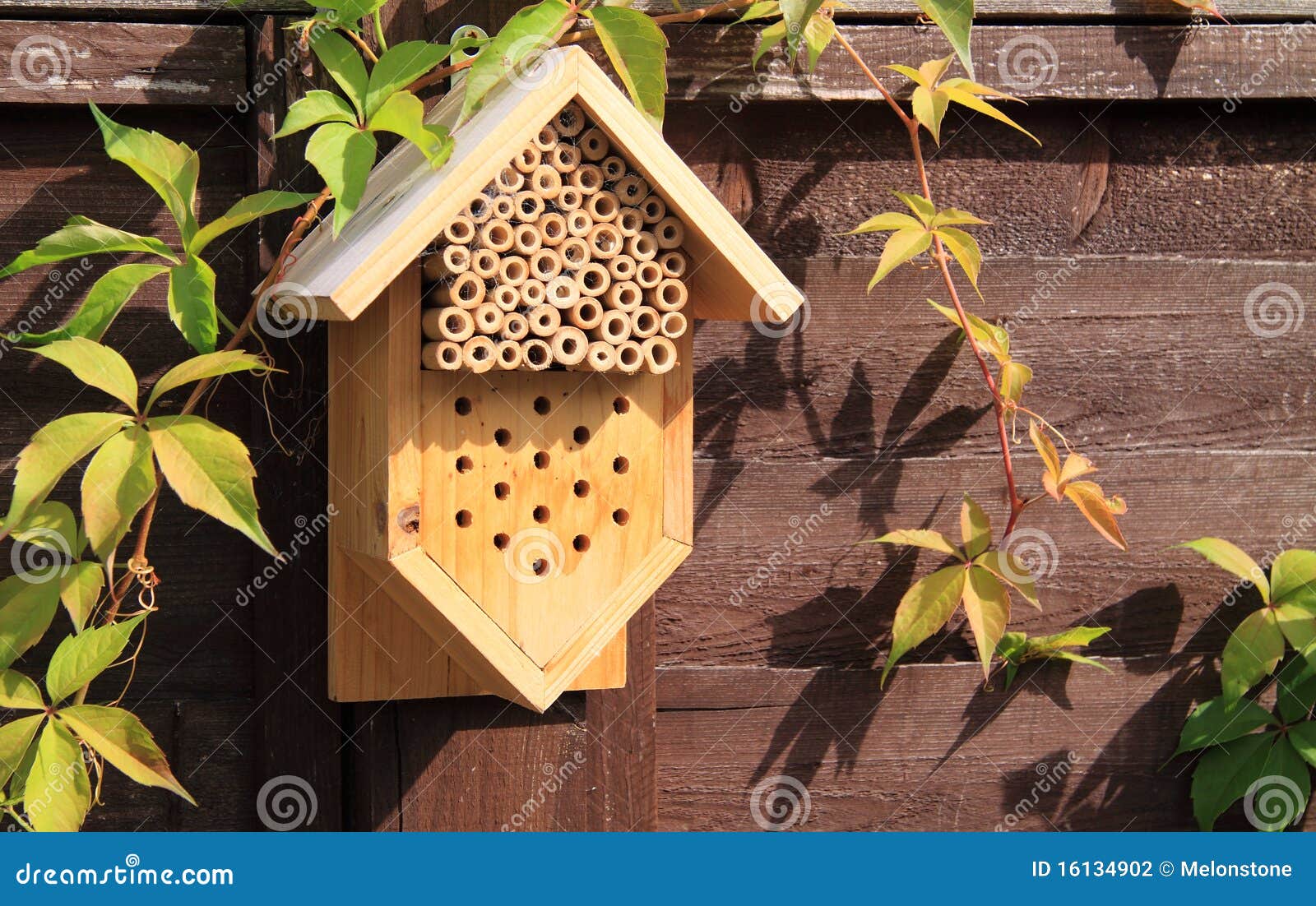 Bug nesting box stock photo. Image of safe, nature, sunshine - 16134902