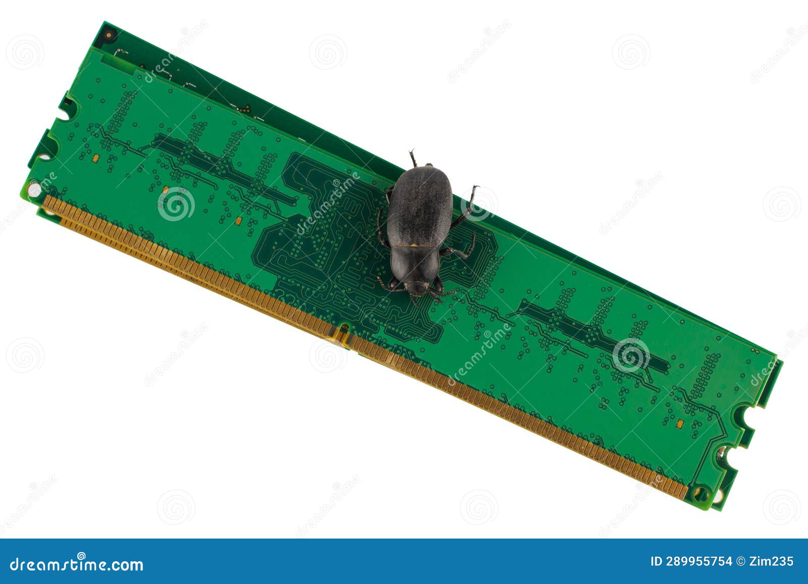 Bug Op Pc-geheugenmodule. Computerfoutconcept Stock Foto - Image of ...