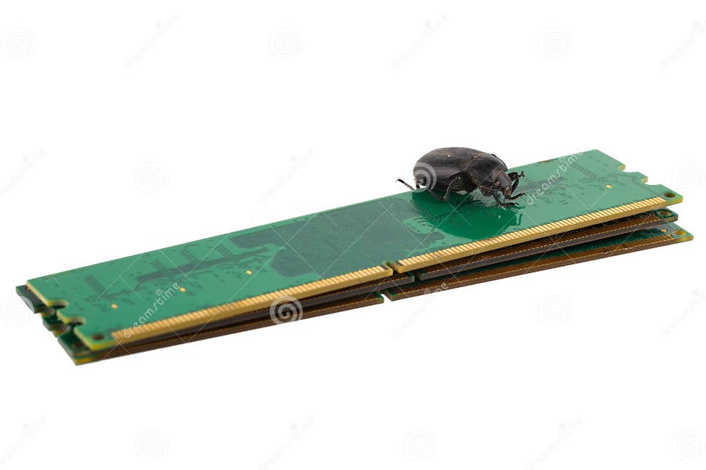 Bug on PC Memory Module. Computer Error Concept Stock Photo - Image of ...