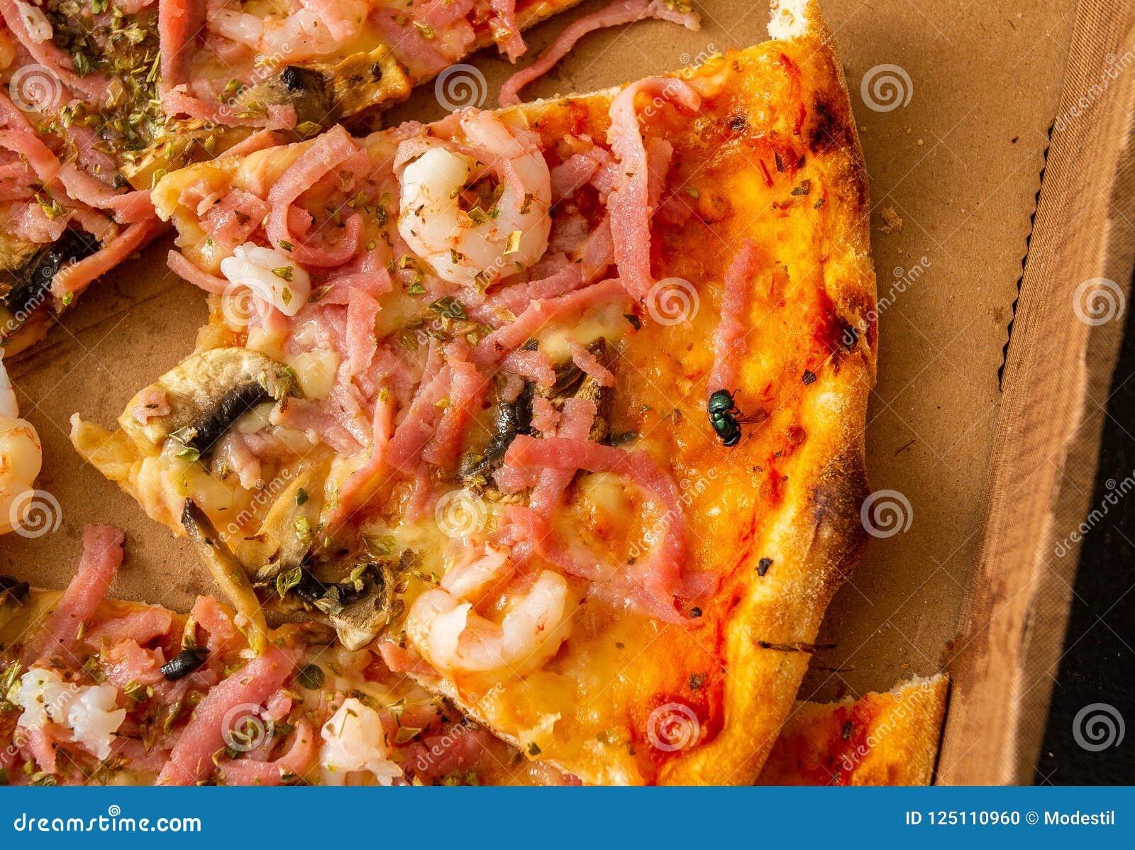 Bug on pizza slice stock photo. Image of health, animal - 125110960