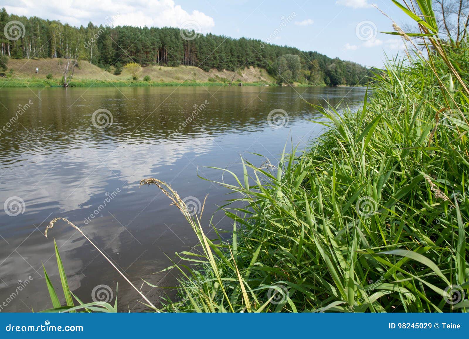 The Bug River, stock image. Image of nature, summer, scenery - 98245029