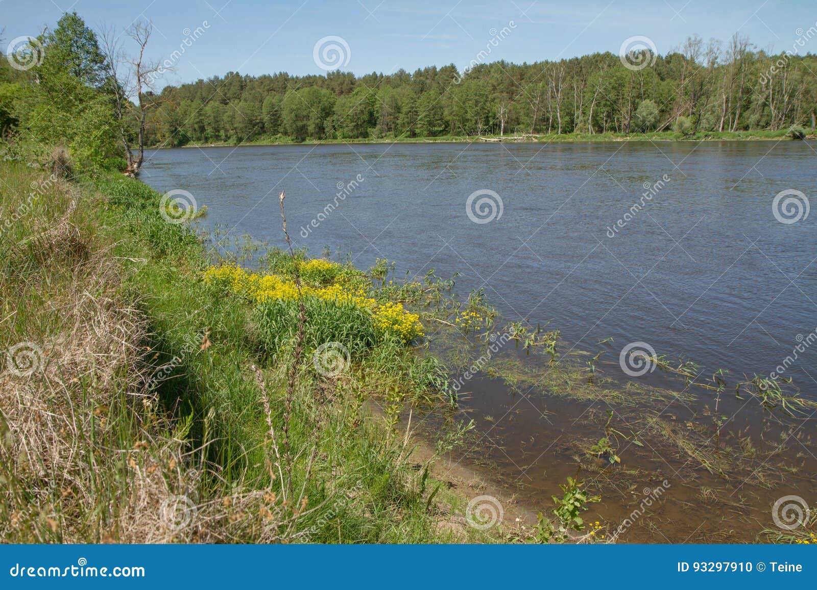 The Bug River, Poland stock photo. Image of ferry, europe - 93297910