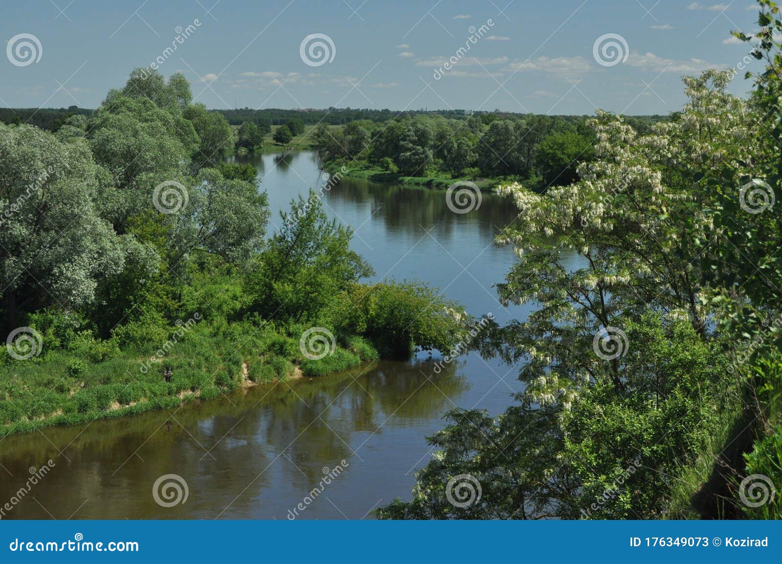 Bug River. Poland Wschodnia Stock Image - Image of plants, bottom ...