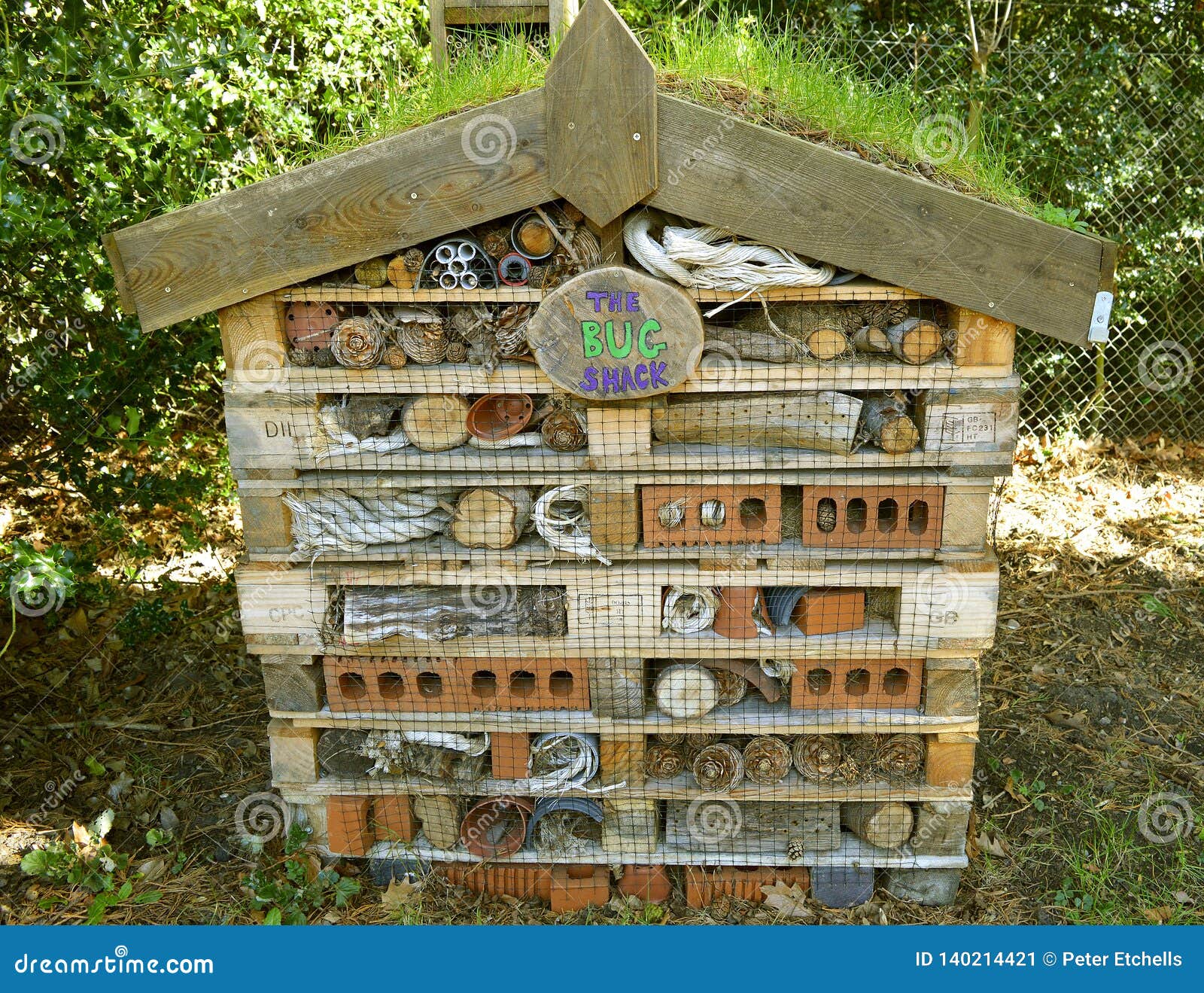 The bug shack stock image. Image of garden, hideaway - 140214421