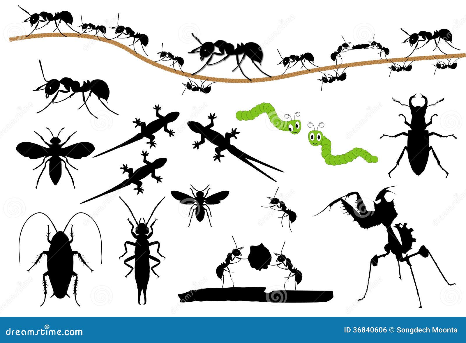 Bug silhouettes stock vector. Illustration of silhouette - 36840606