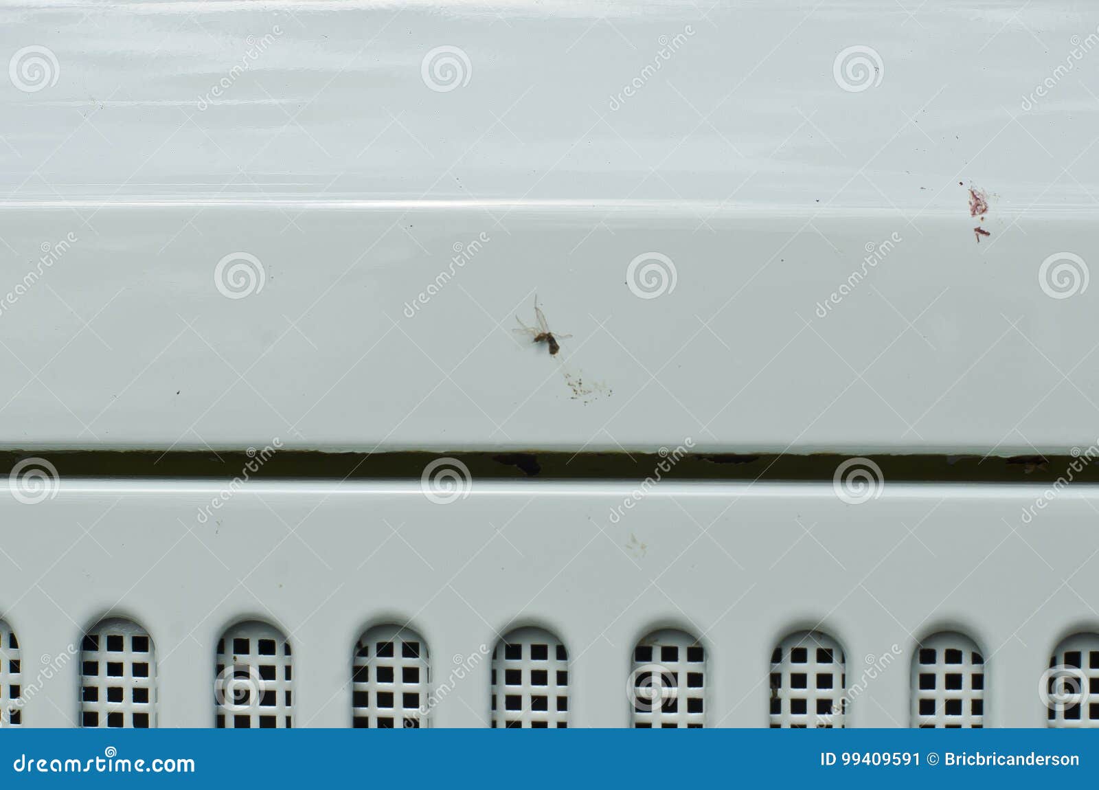 Bug Splat stock image. Image of insect, abstract, spring - 99409591