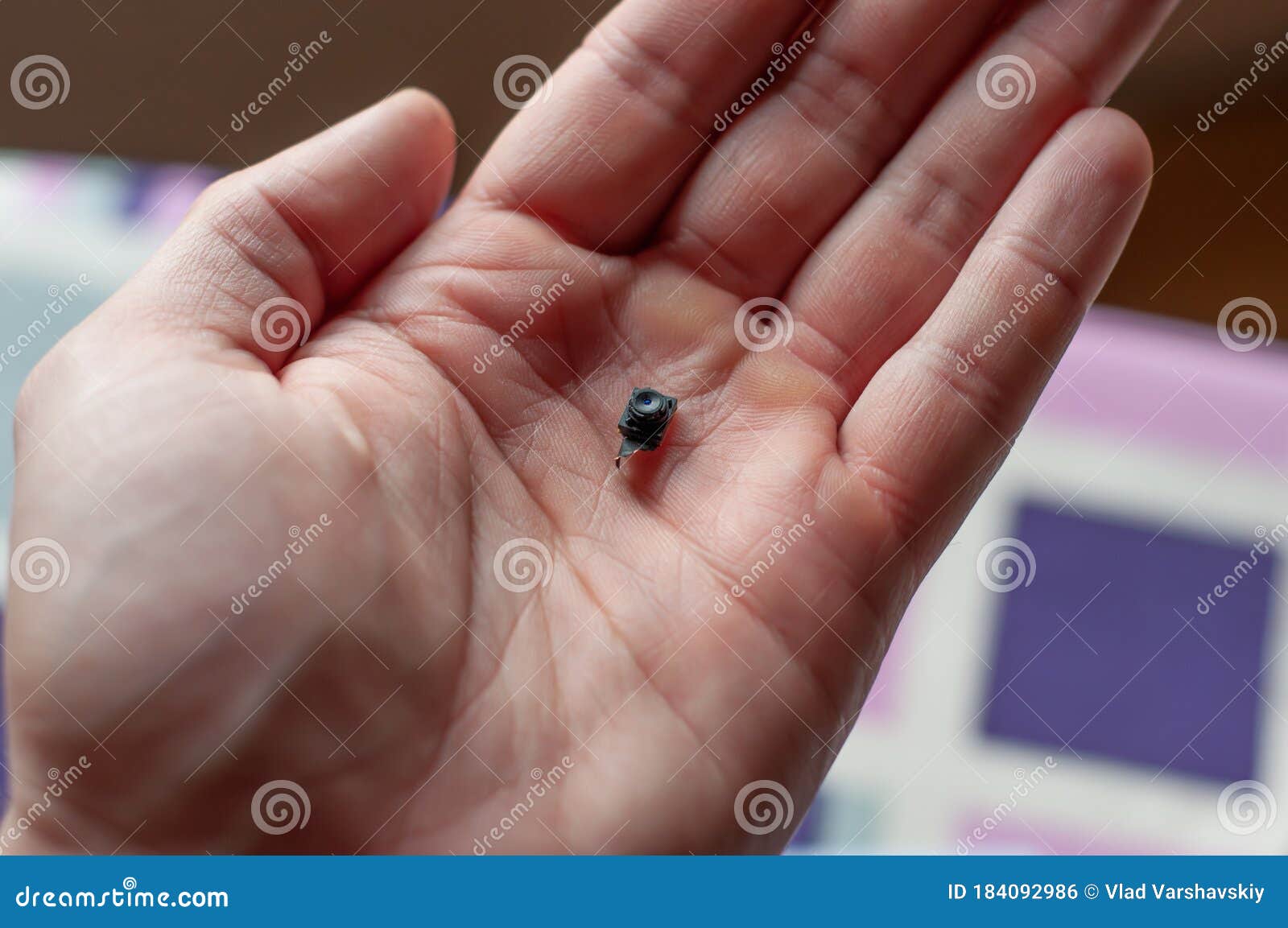 A Bug for Tracking and Recording Videos. the Micro Camera is Hidden ...