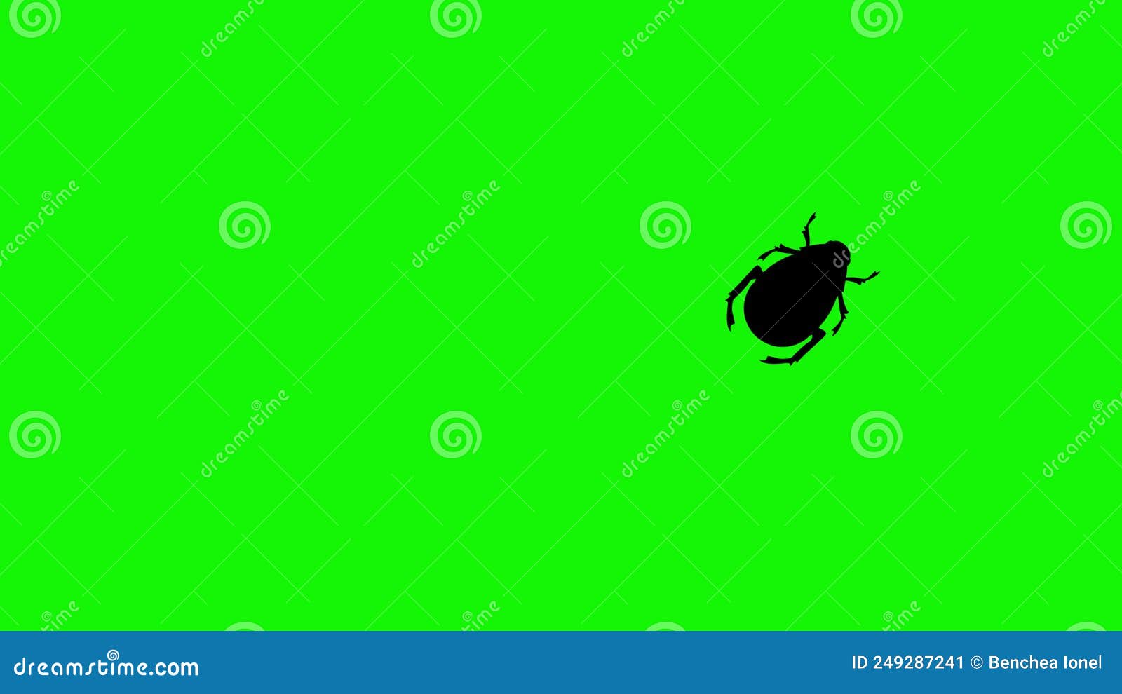 Bug Walking Animation on Green Screen Chroma Key Stock Video - Video of ...