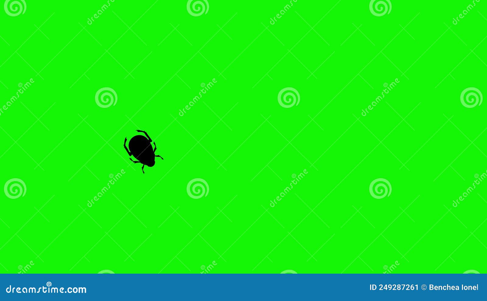 Bug Walking Animation on Green Screen Chroma Key Stock Video - Video of ...