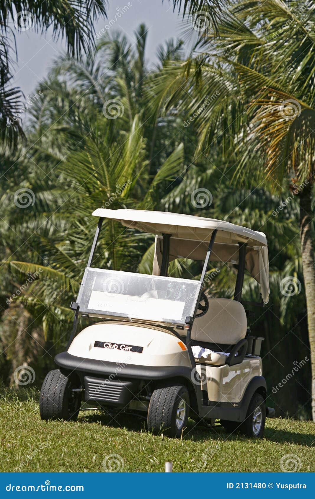 Buggy stock photo. Image of outdoor, sports, golfer, ground - 2131480