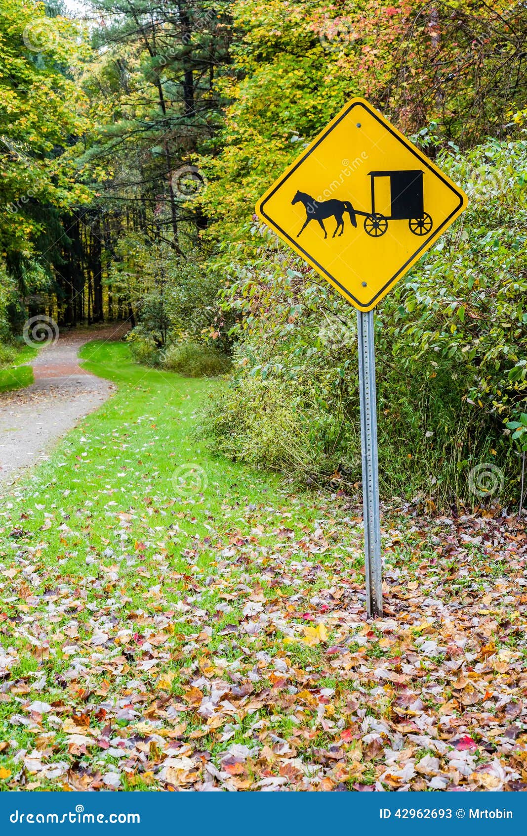 Buggy sign stock image. Image of buggy, transportation - 42962693