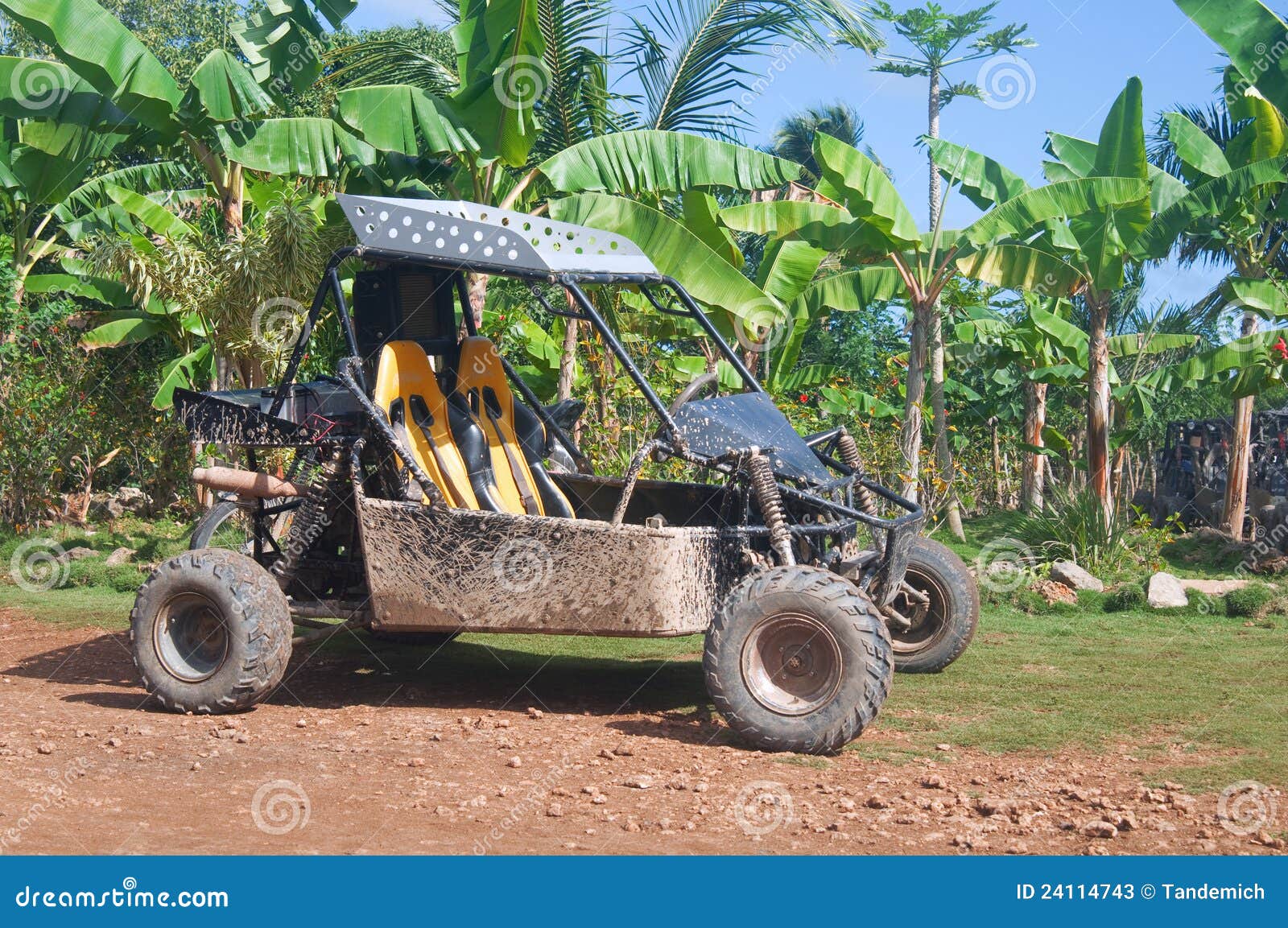 Buggy on the Track of Tropical Stock Image - Image of vichicle ...